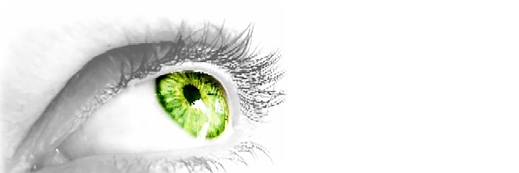 Vision Coverage Can Reduce Overall Health Care Costs - Total Control ...